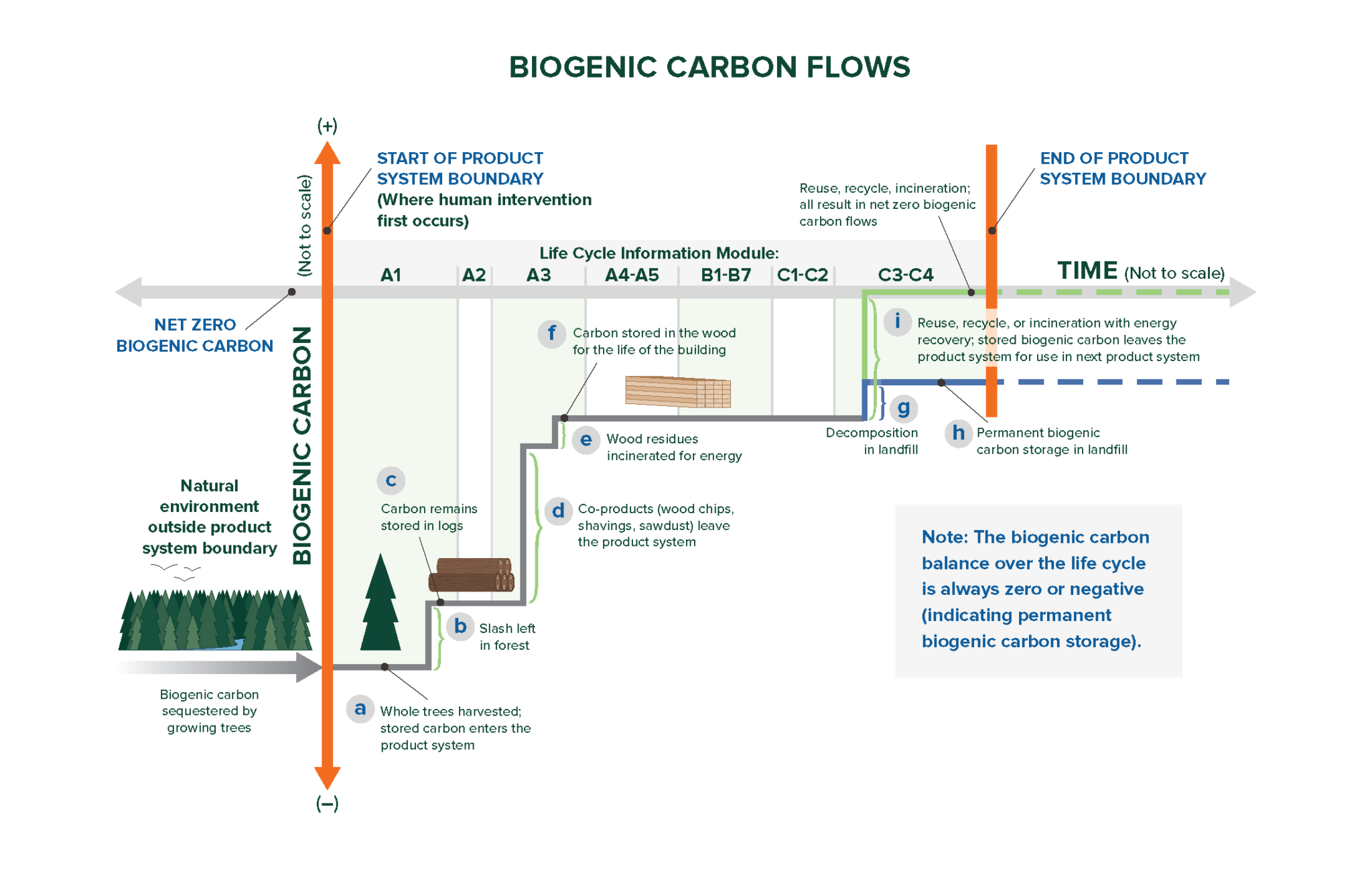 How to Include Biogenic Carbon in an LCA - WoodWorks | Wood Products ...