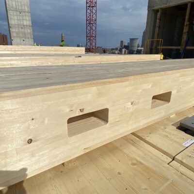 Creating Efficient Structural Grids in Mass Timber Buildings ...
