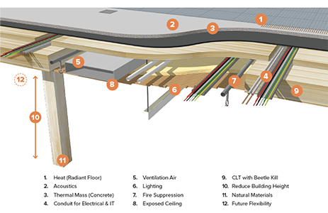 How is MEP accommodated in exposed mass timber buildings-e.g., CLT and ...