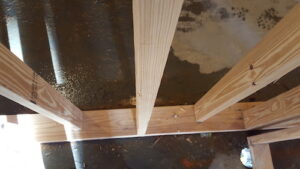 Requirements for Blocking/Bracing in Light-Frame Walls - WoodWorks ...
