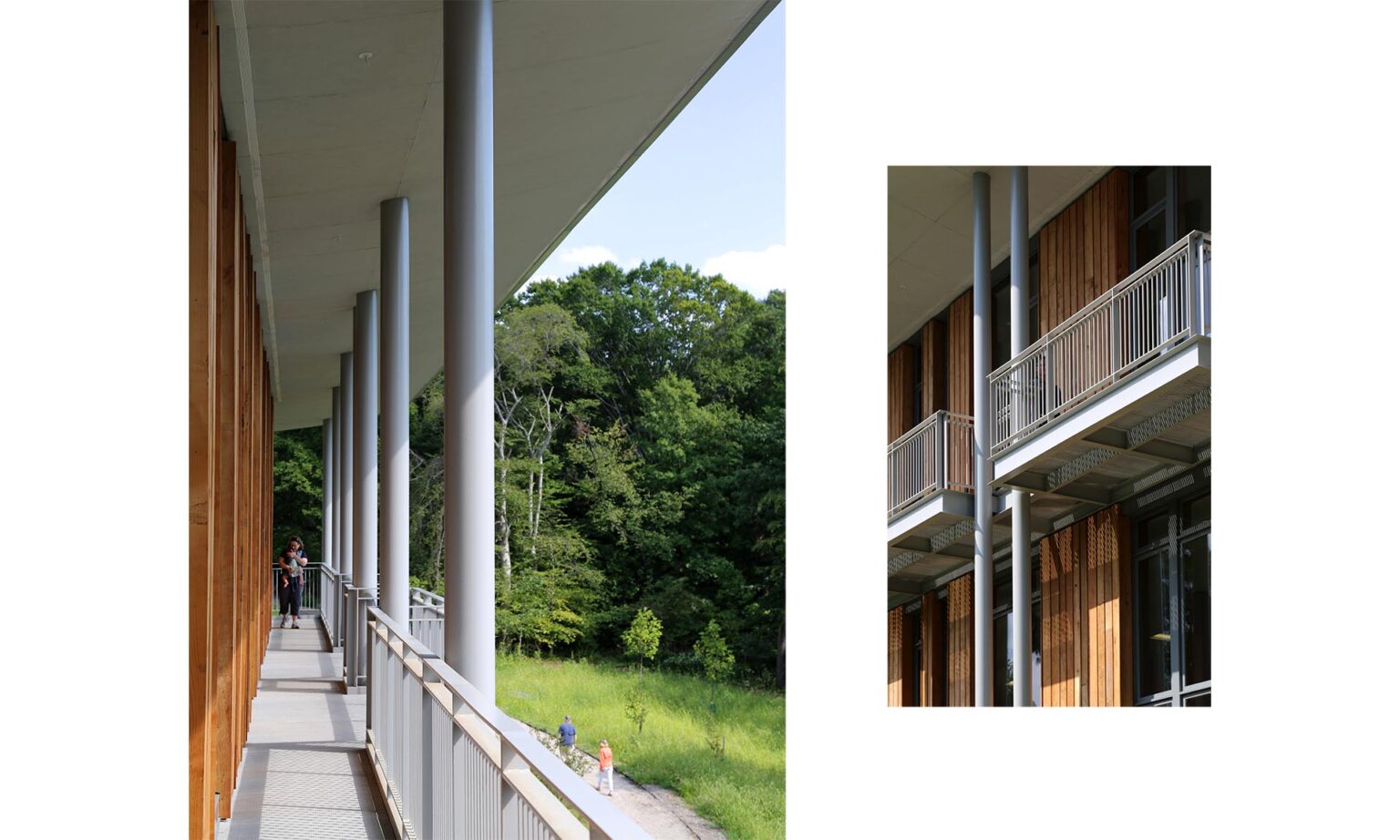 Frick Environmental Center - WoodWorks | Wood Products Council