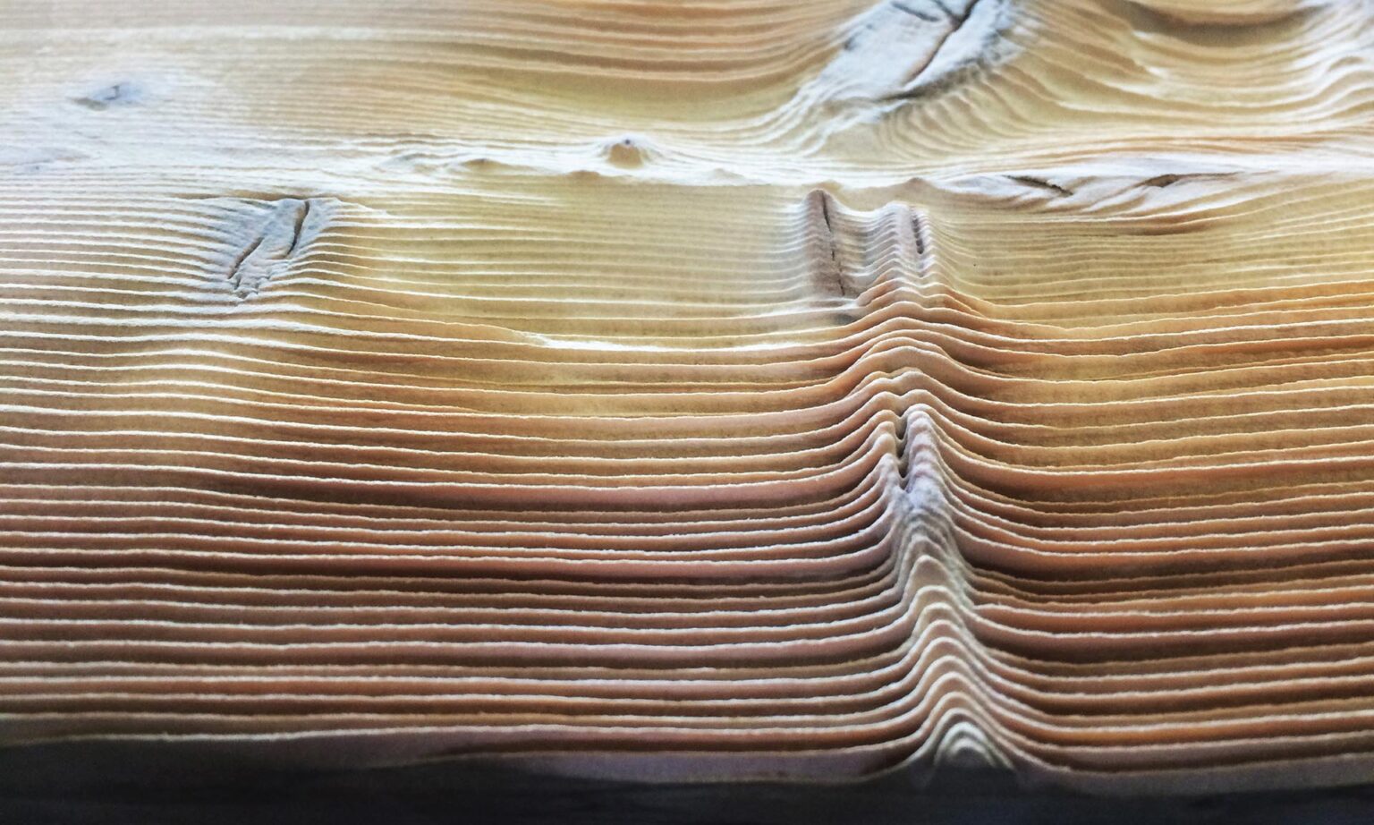 Princeton University Laboratory for Embodied Computation - WoodWorks ...